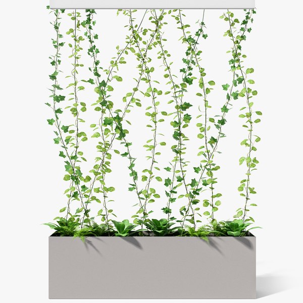 3D partition plant - TurboSquid 1234718