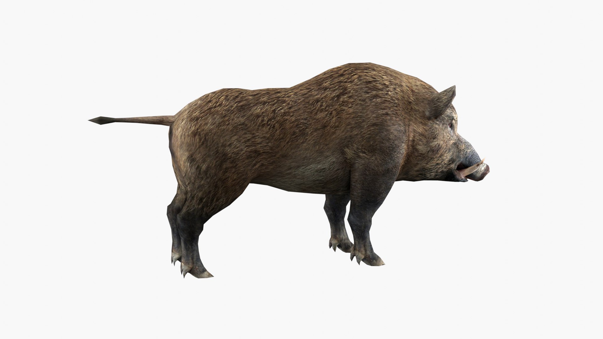 3D Model Boar RIGGED - TurboSquid 2330304