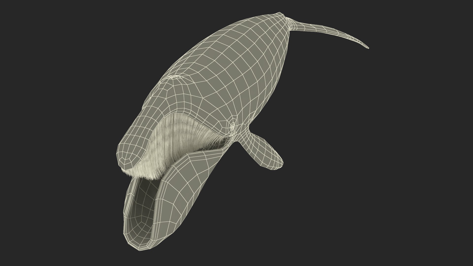 Sea Animal Bowhead Whale Rigged 3D model - TurboSquid 2114788