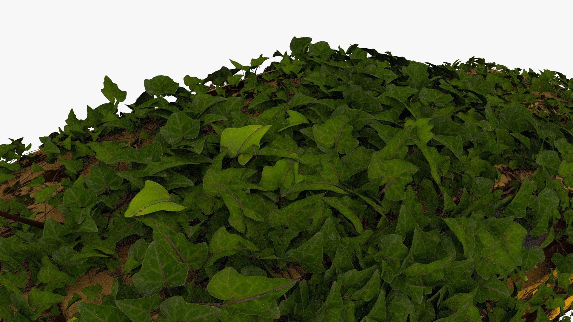 4K Realistic Low Poly Abandoned Car With Ivy 3D Model - TurboSquid 2144398
