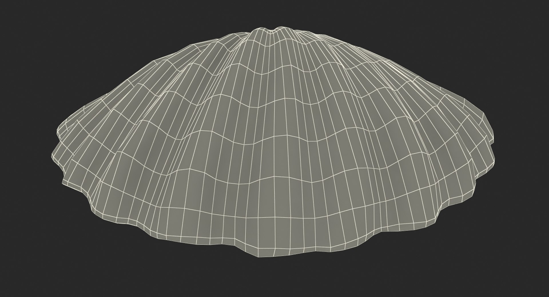 3D sea shell 2 model - TurboSquid 1242131