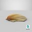 3D Sea Shell 2 Model - TurboSquid 1242131