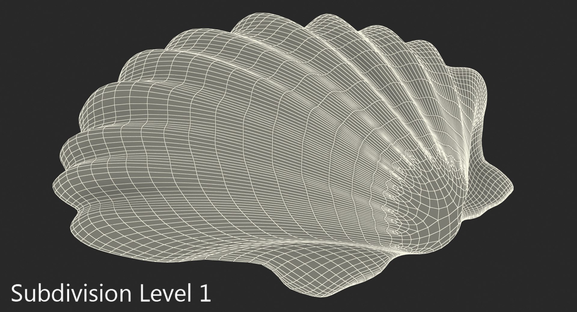 3D Sea Shell 2 Model - TurboSquid 1242131