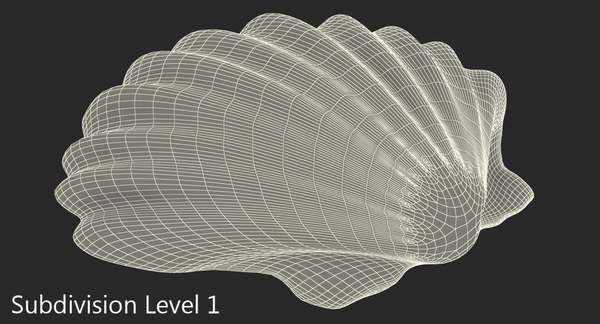 3D sea shell 2 model - TurboSquid 1242131