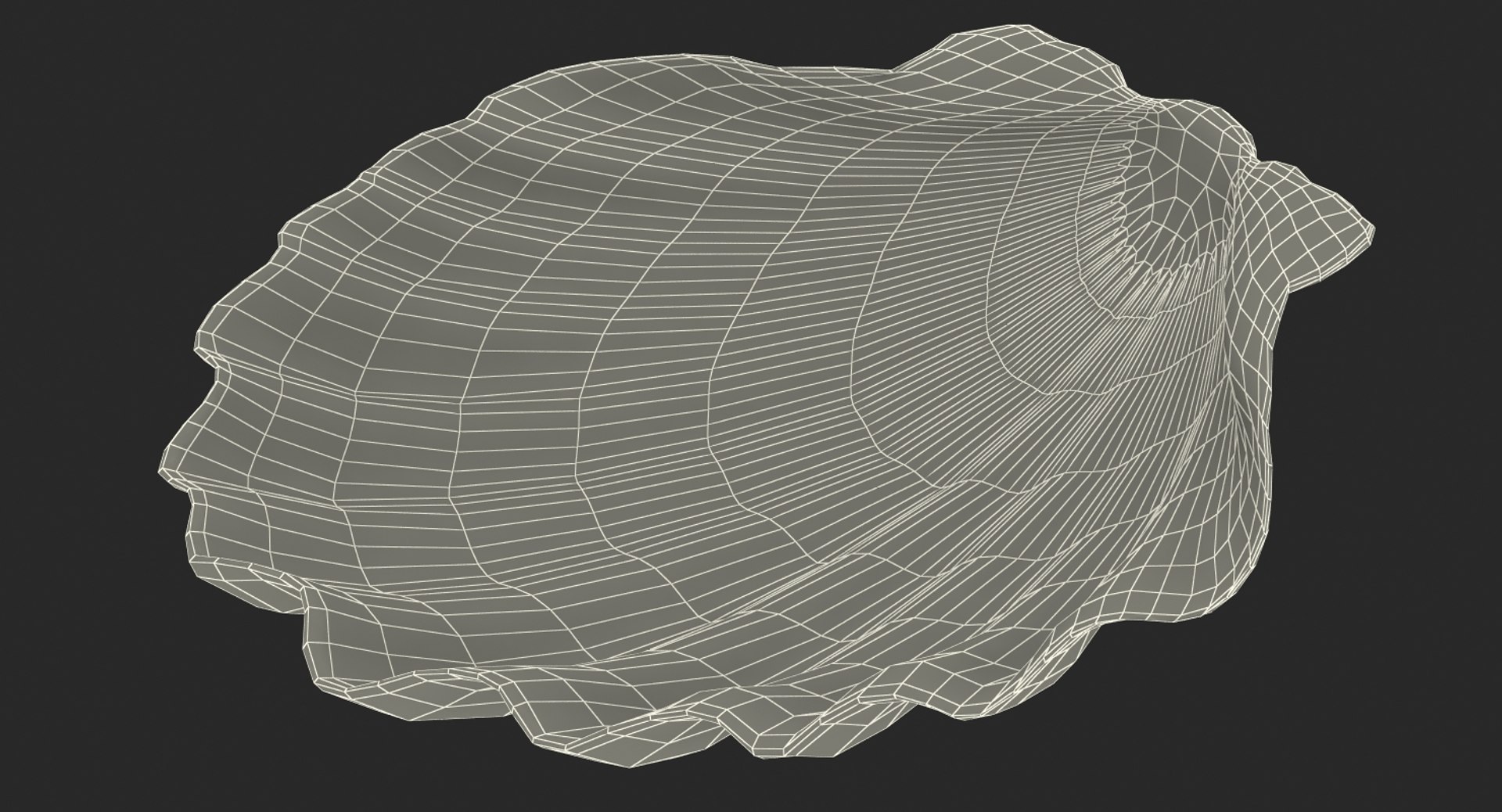 3D sea shell 2 model - TurboSquid 1242131