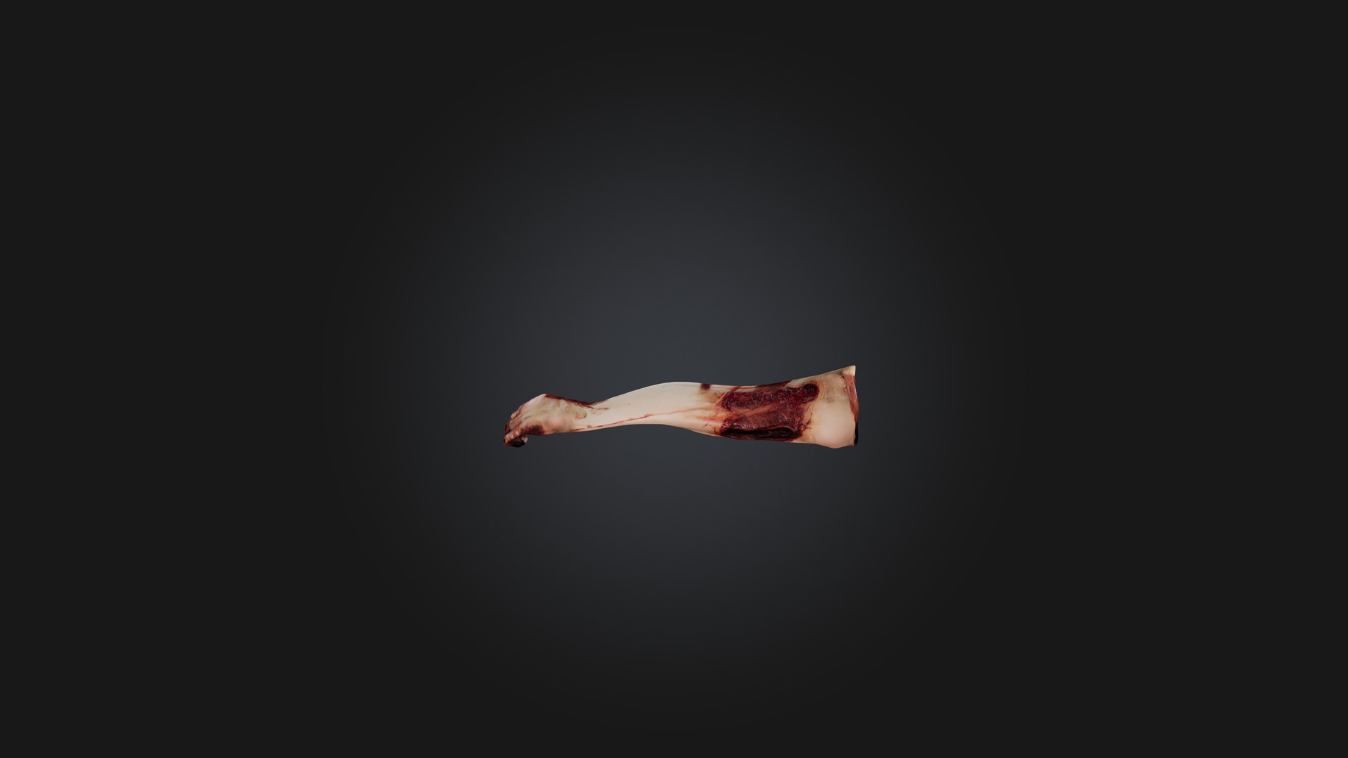 Severed Leg 3D Model - TurboSquid 2289230