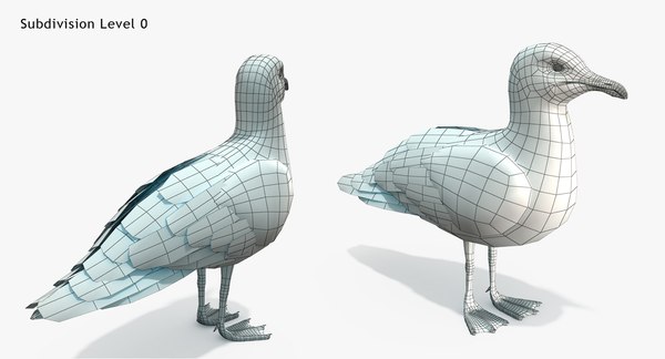 3d model seagull rigged