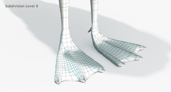 3d model seagull rigged