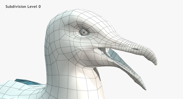 3d model seagull rigged