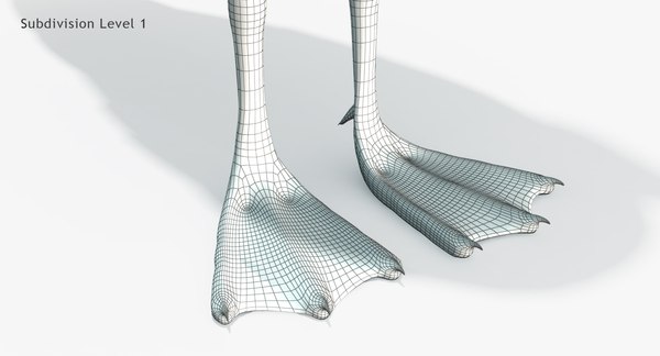 3d model seagull rigged