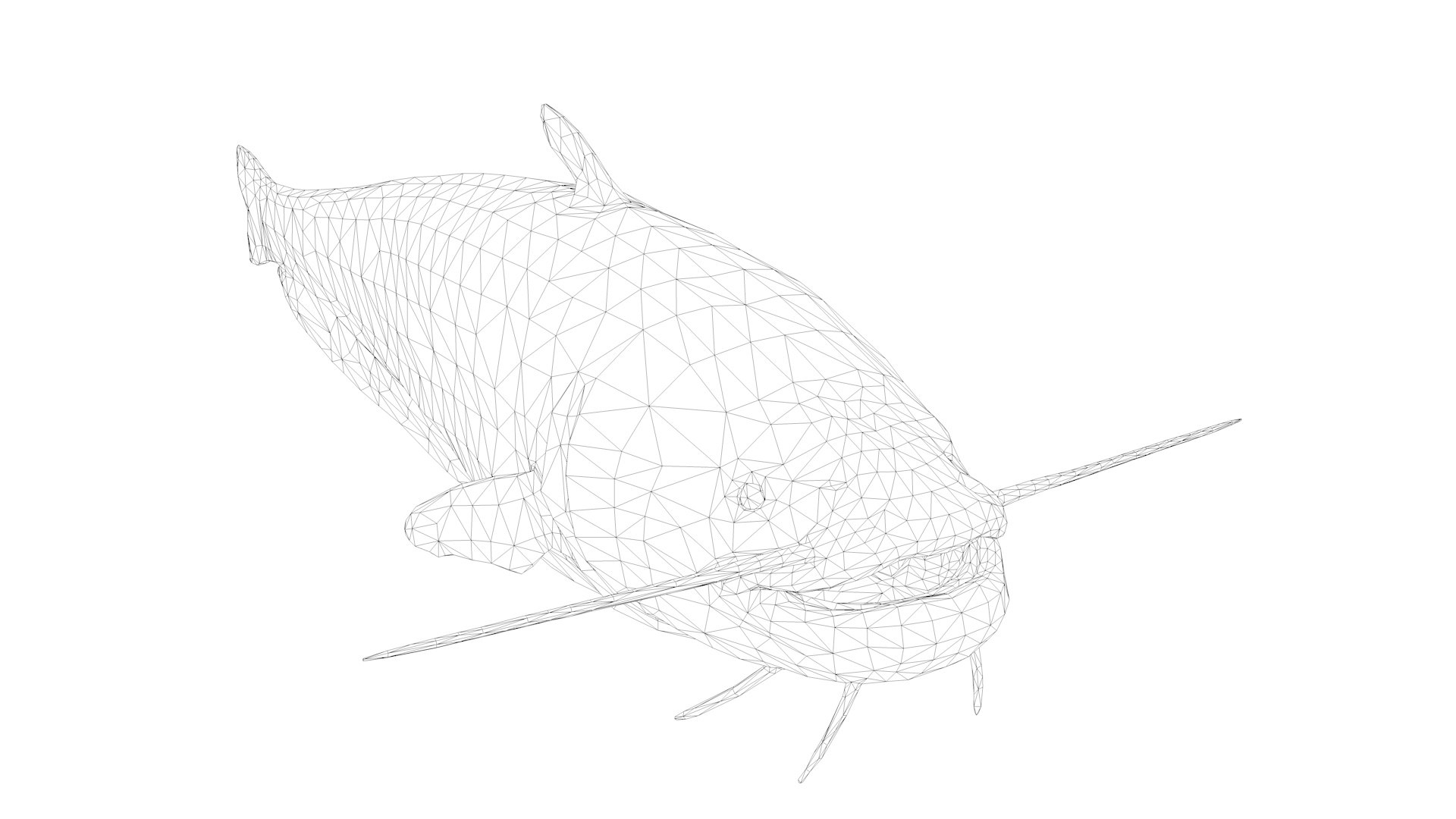 3D Catfish Rigged And Animated Model - TurboSquid 2335514