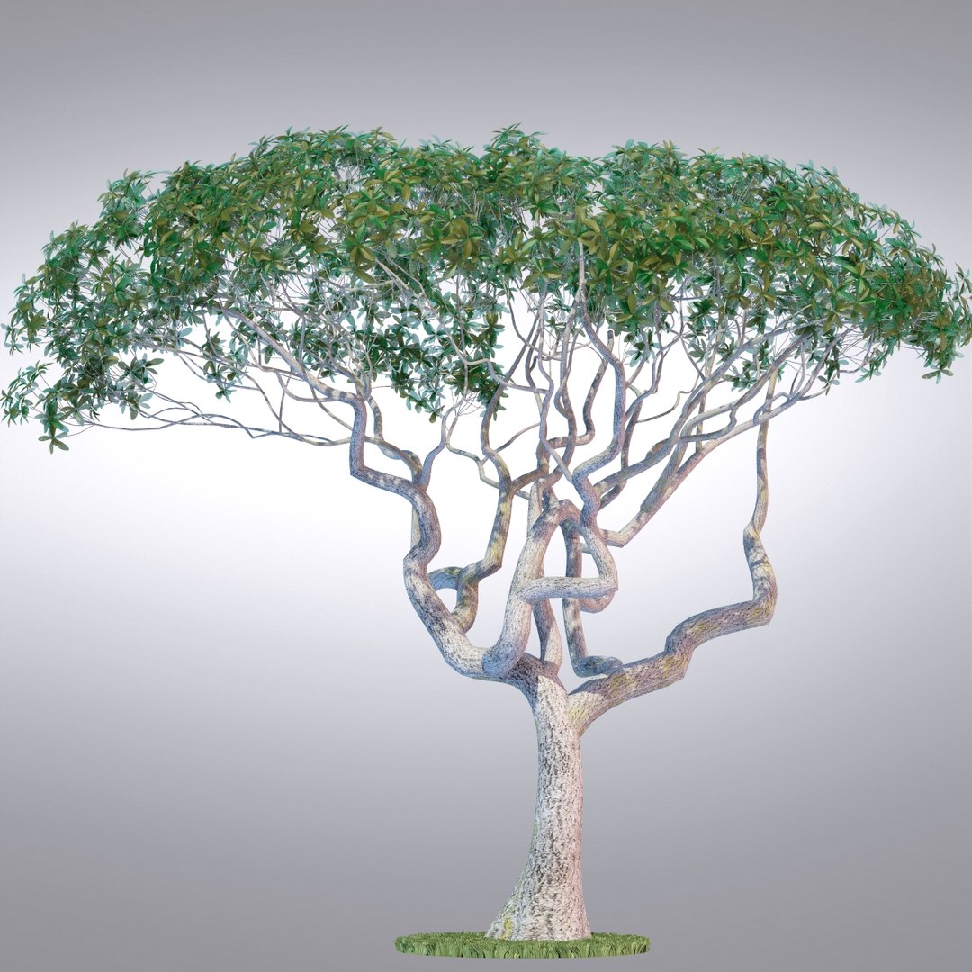 3d model realistic tree