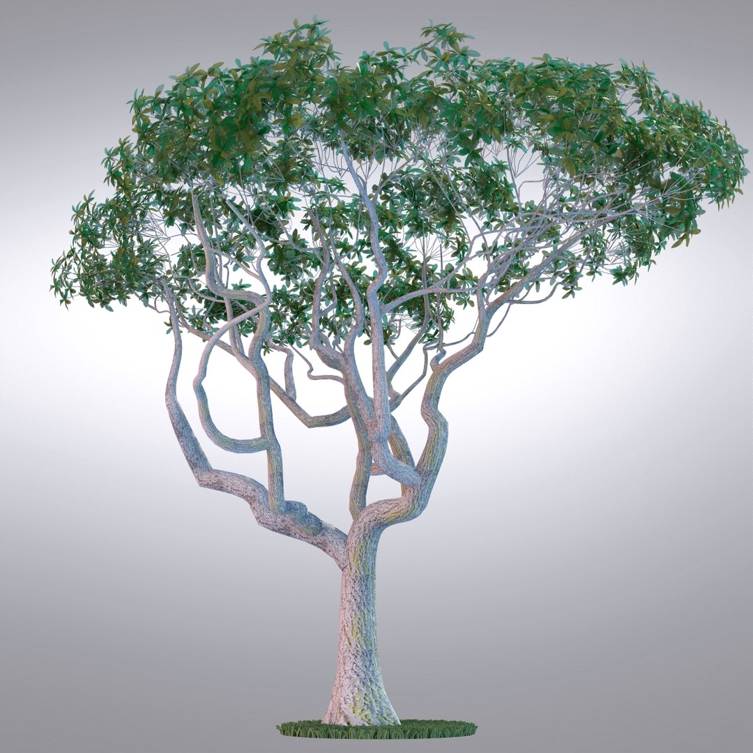 3d model realistic tree