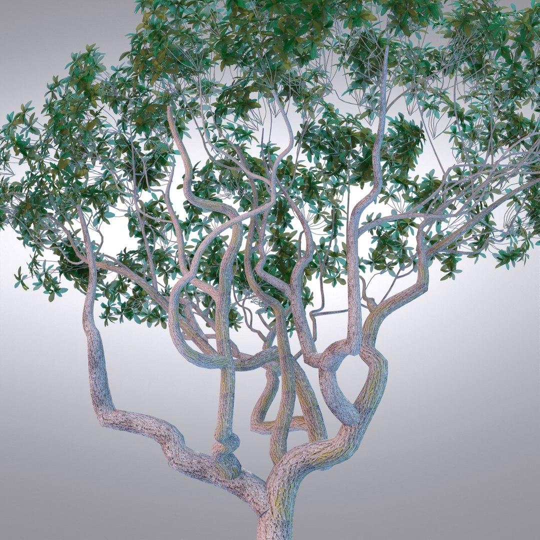 3d model realistic tree