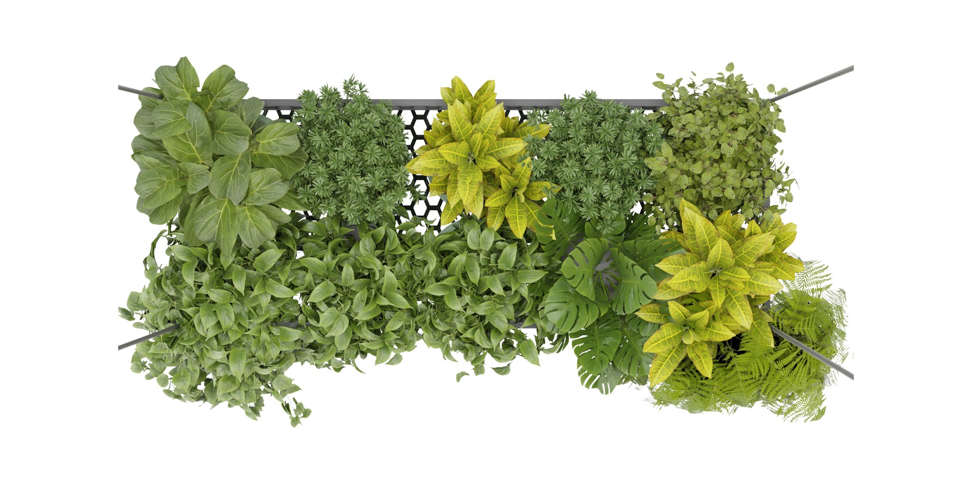 3D Collection plant vol 347 - blender model model - TurboSquid 2094274