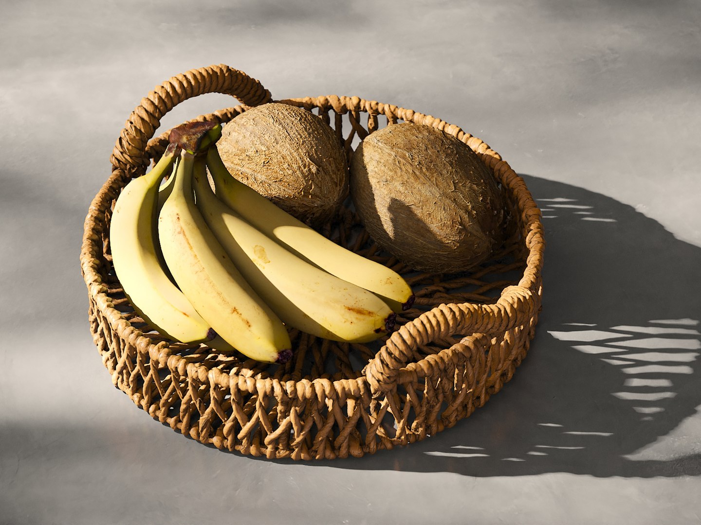 Round Woven Circular Tray with Handles 3D model - TurboSquid 2149582