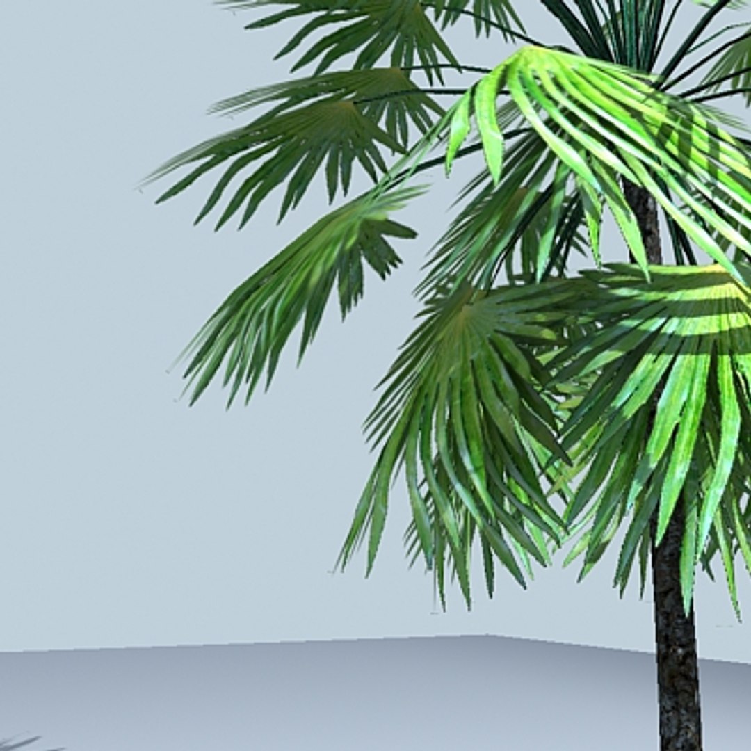 Palm Tree 3d 3ds