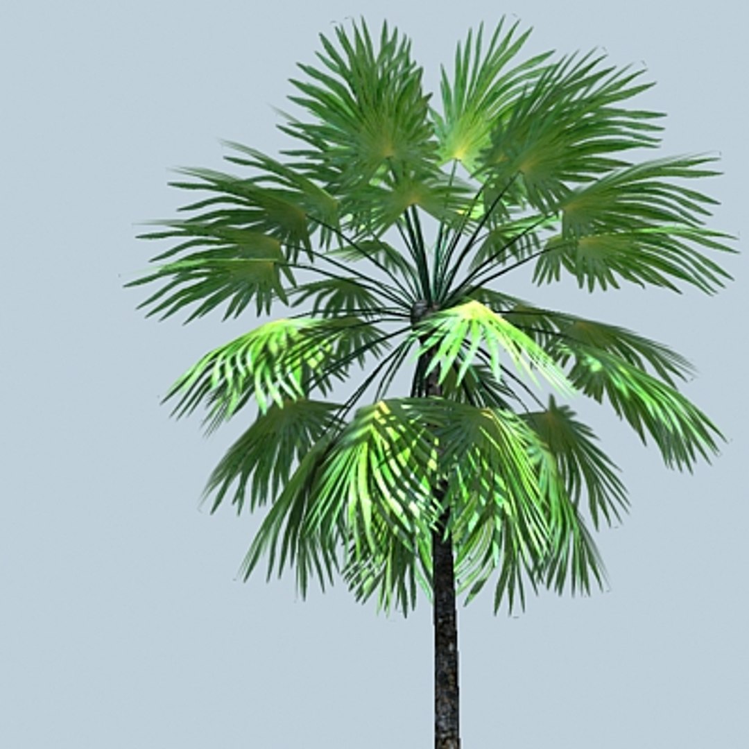 Palm Tree 3d 3ds