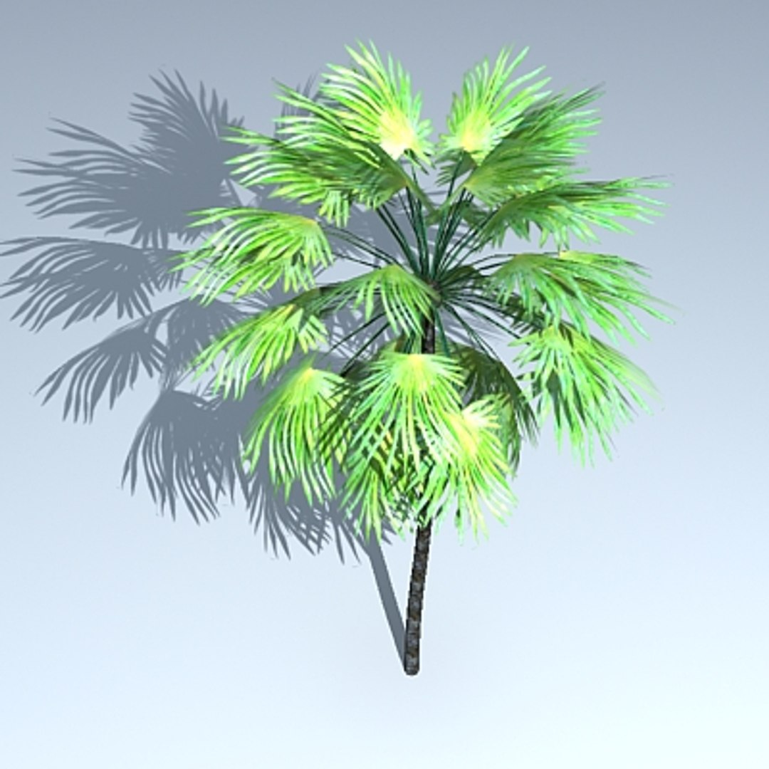 Palm Tree 3d 3ds