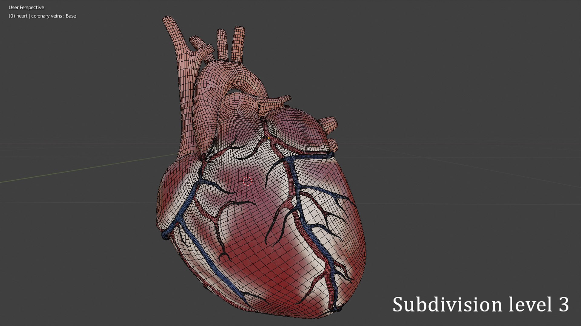 3D Human Heart Model - TurboSquid 1444090