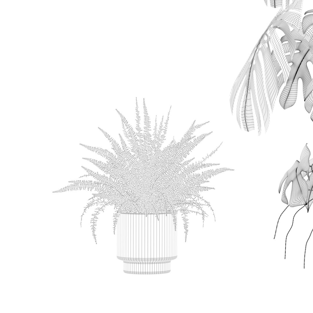 Plants Collection 212 - Monstera Ficus Cactus Fern 3D Model ...