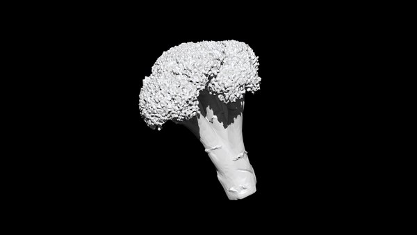 Broccoli cut 3D CT scan model 1 decimate 5percent 3D - TurboSquid 1886413
