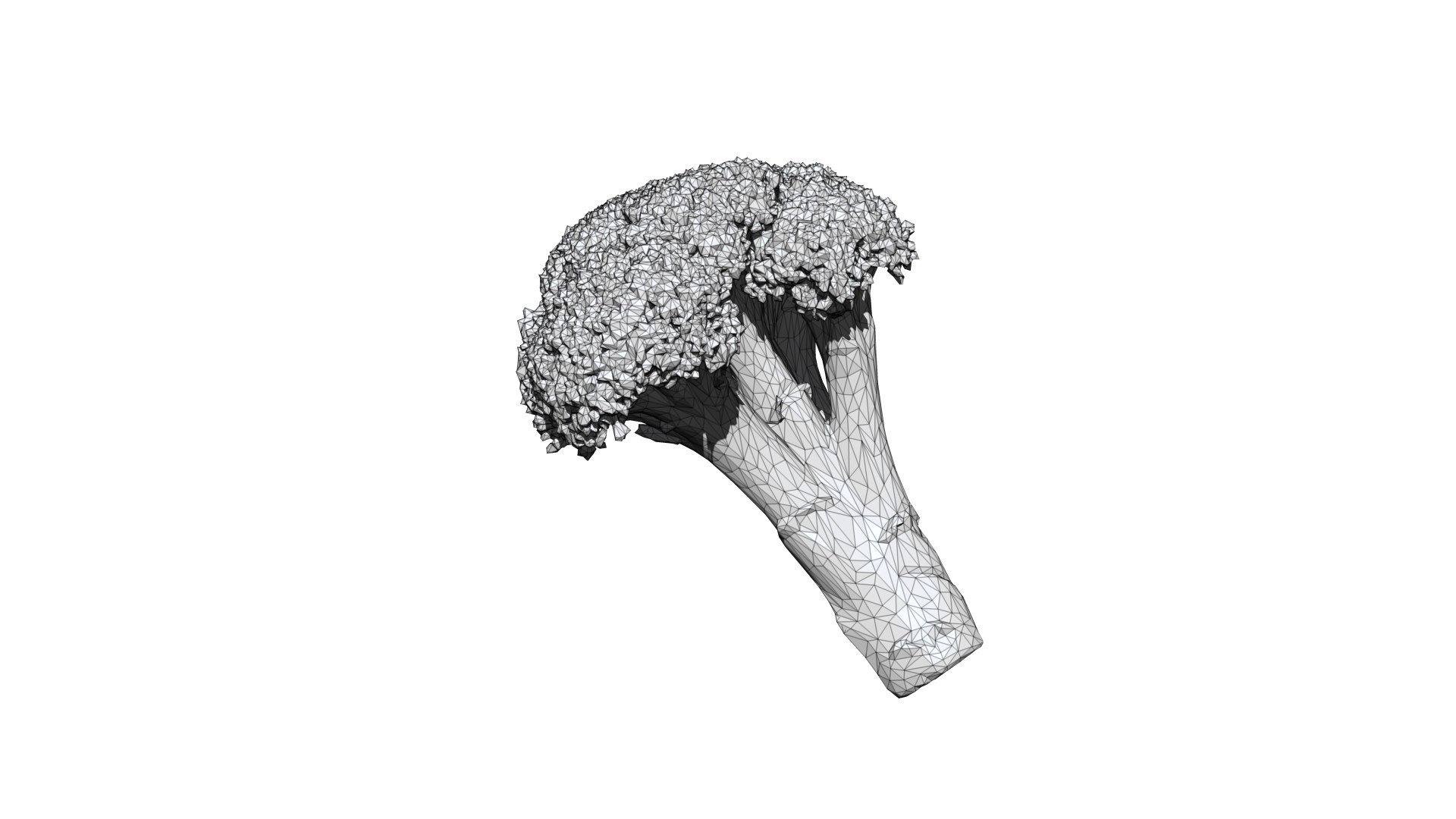 Broccoli Cut 3D CT Scan Model 1 Decimate 5percent 3D - TurboSquid 1886413