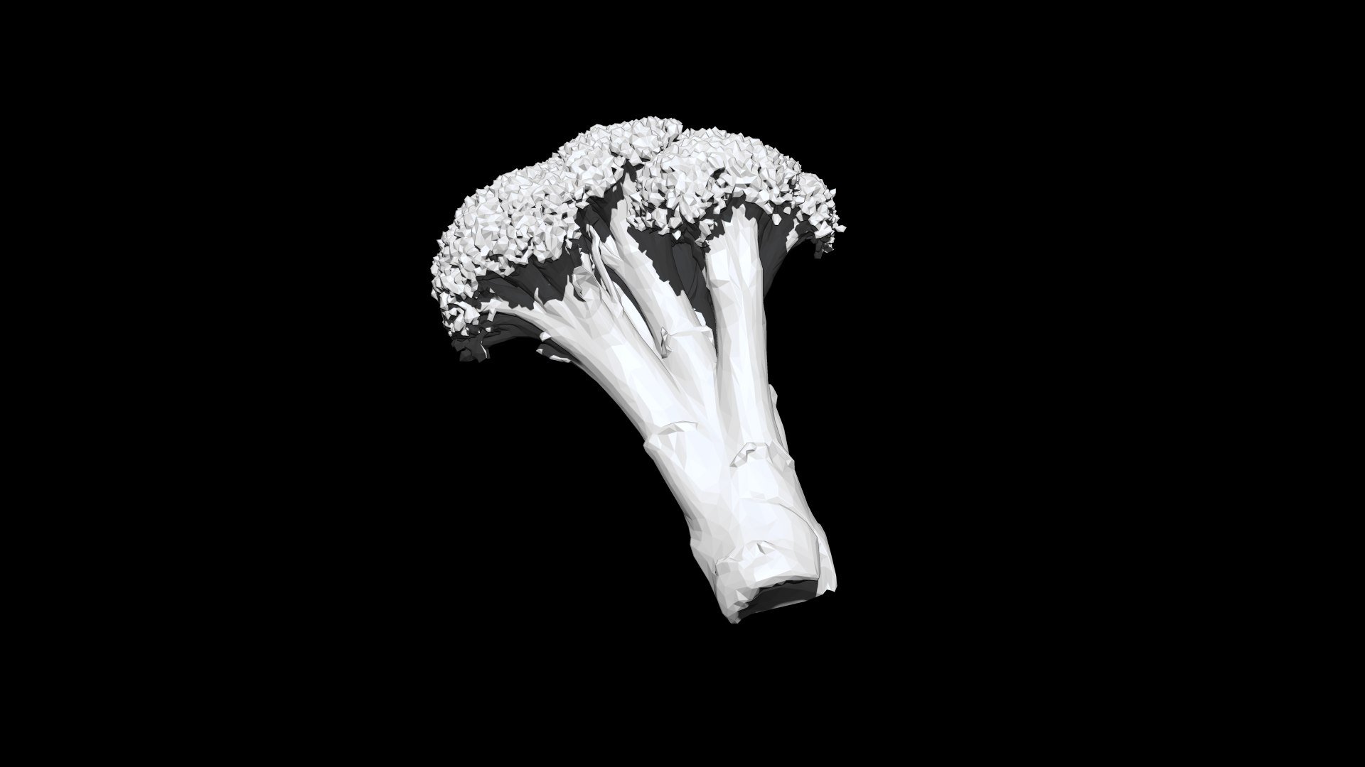 Broccoli Cut 3D CT Scan Model 1 Decimate 5percent 3D - TurboSquid 1886413