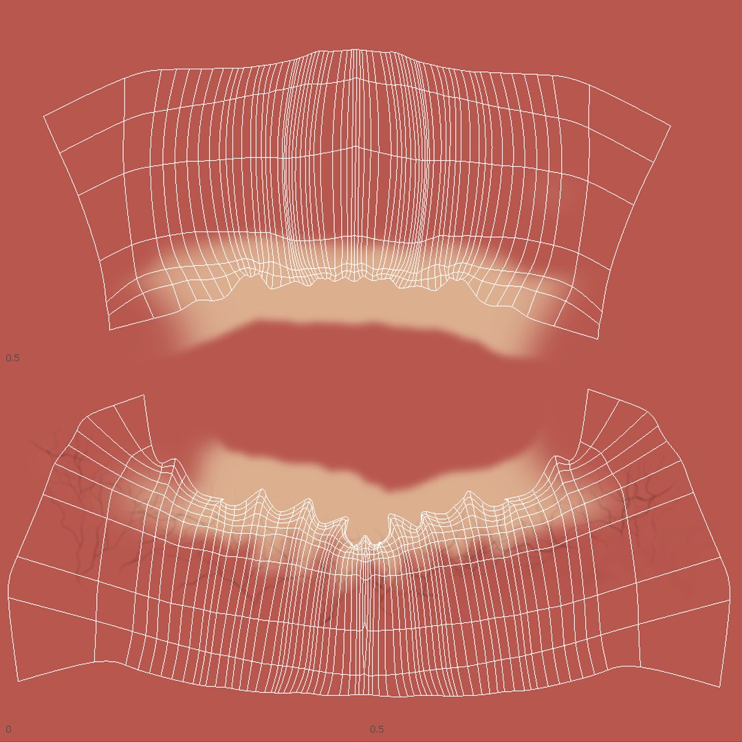 Incisor Section - Model - TurboSquid 1404732