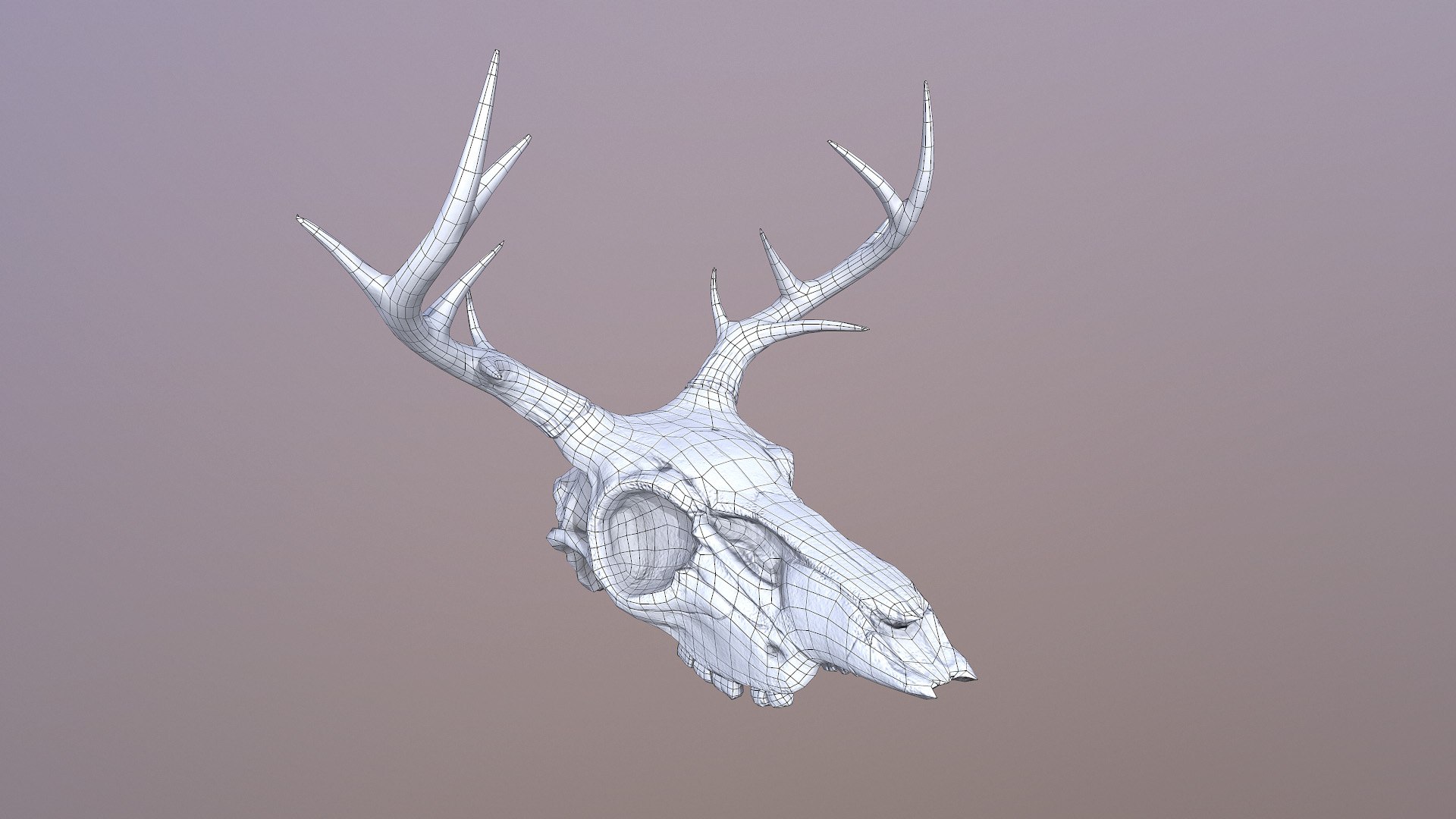 3D deer skull model - TurboSquid 1500824