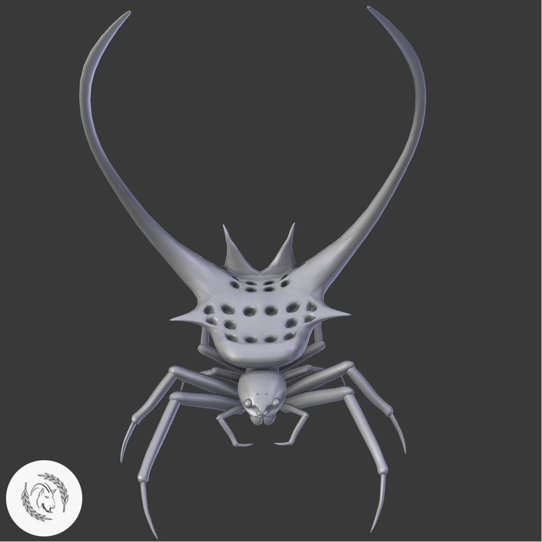 Spider Macracantha Model - TurboSquid 1231678