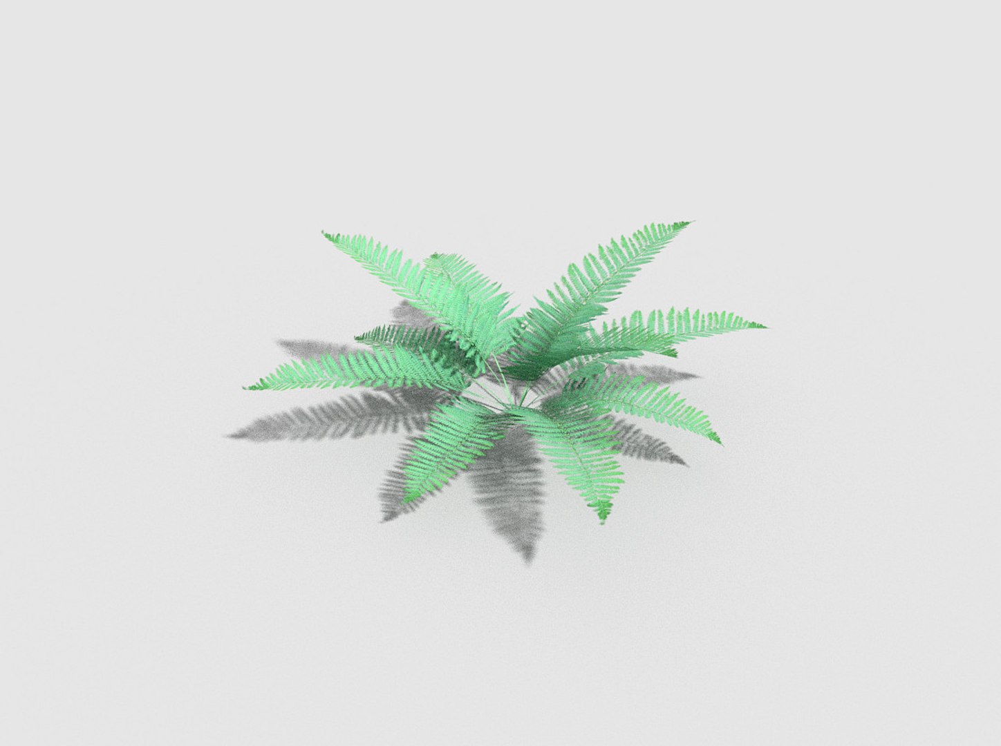 Fern Games 3d Model