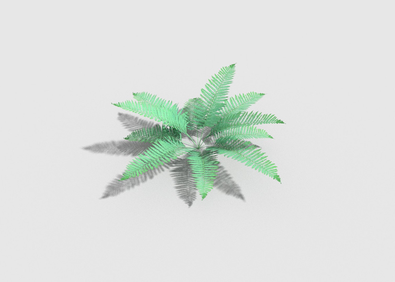 Fern Games 3d Model