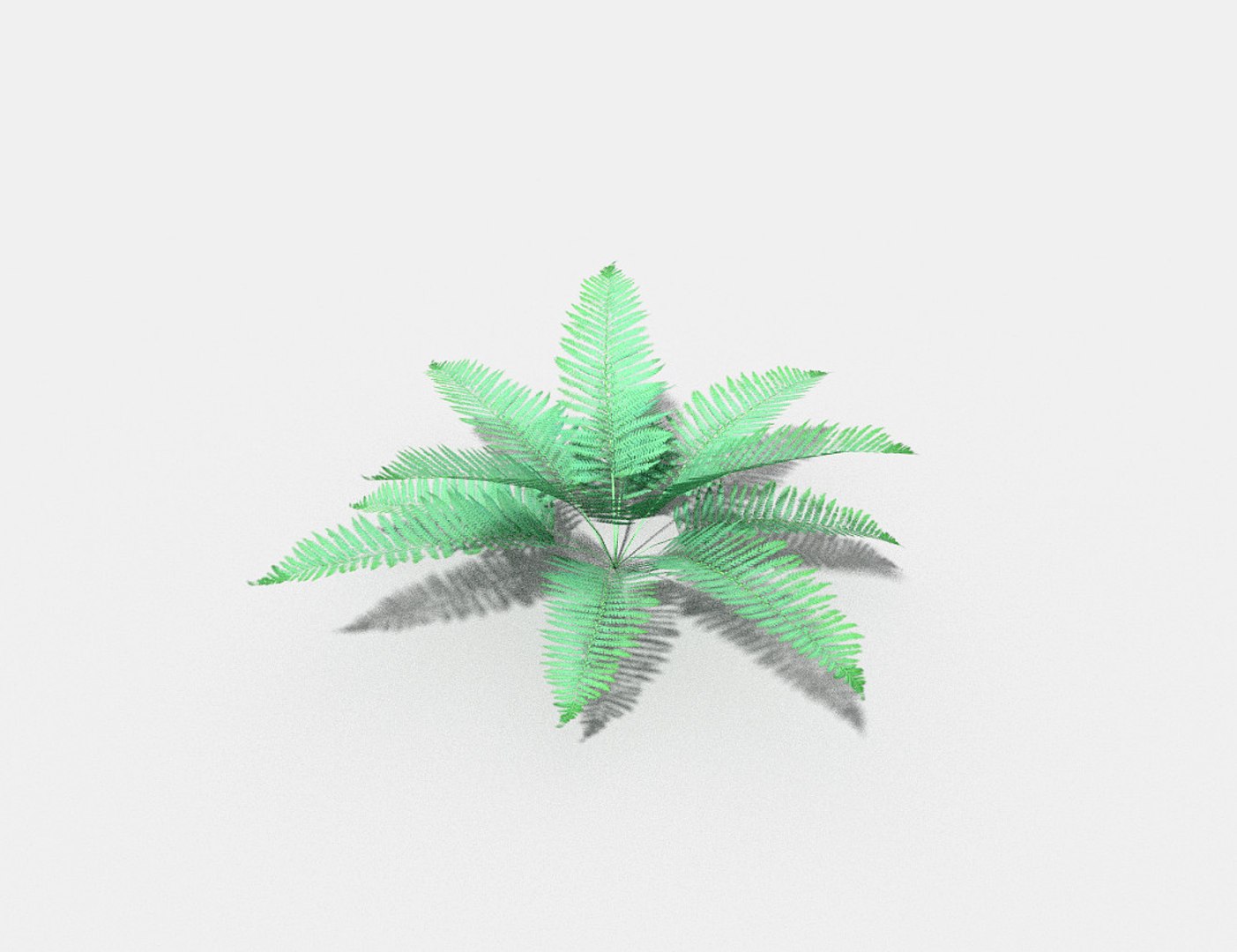 Fern Games 3d Model