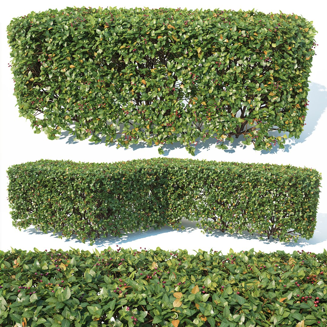 Modular hedges 3D - TurboSquid 1333045