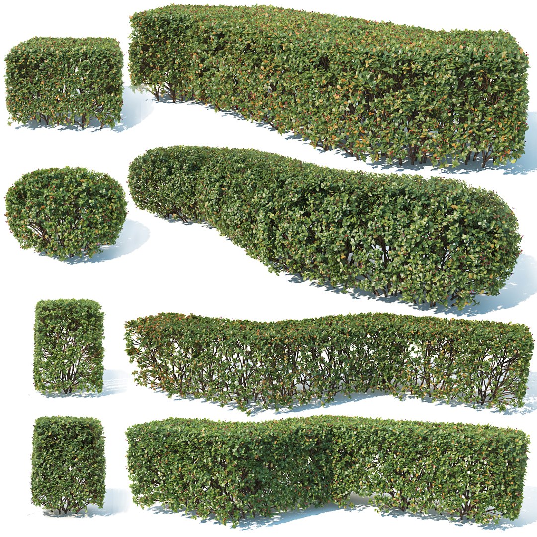Modular hedges 3D - TurboSquid 1333045