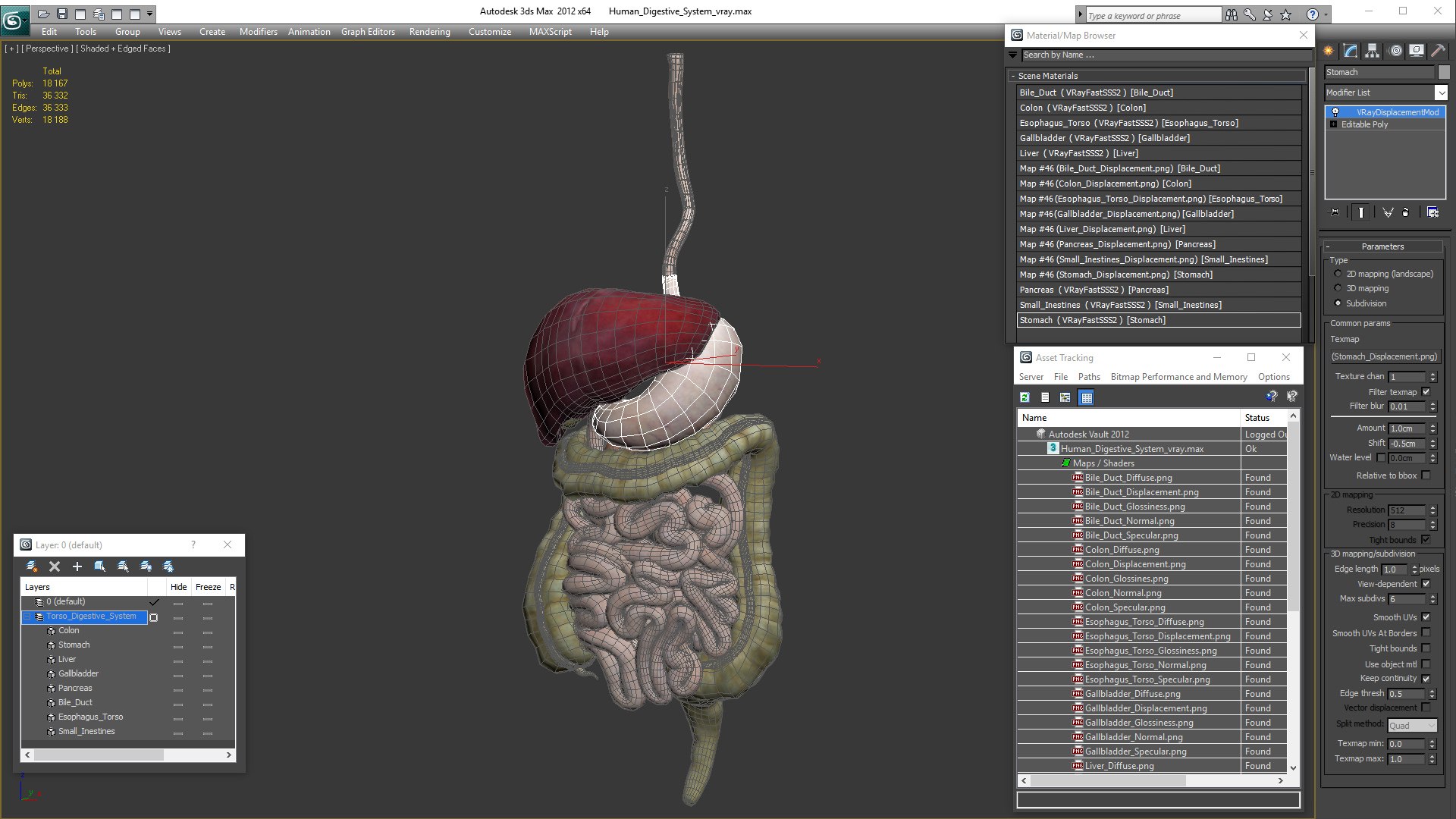 3D human digestive model - TurboSquid 1469280