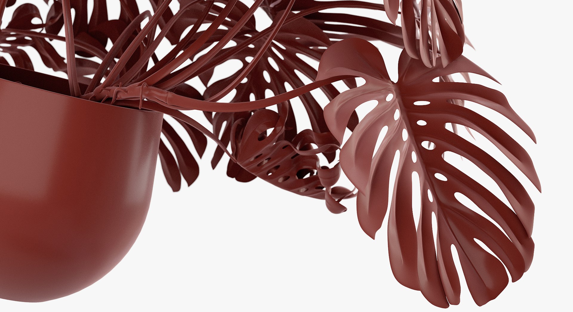 Monstera 3D Model - TurboSquid 1528665