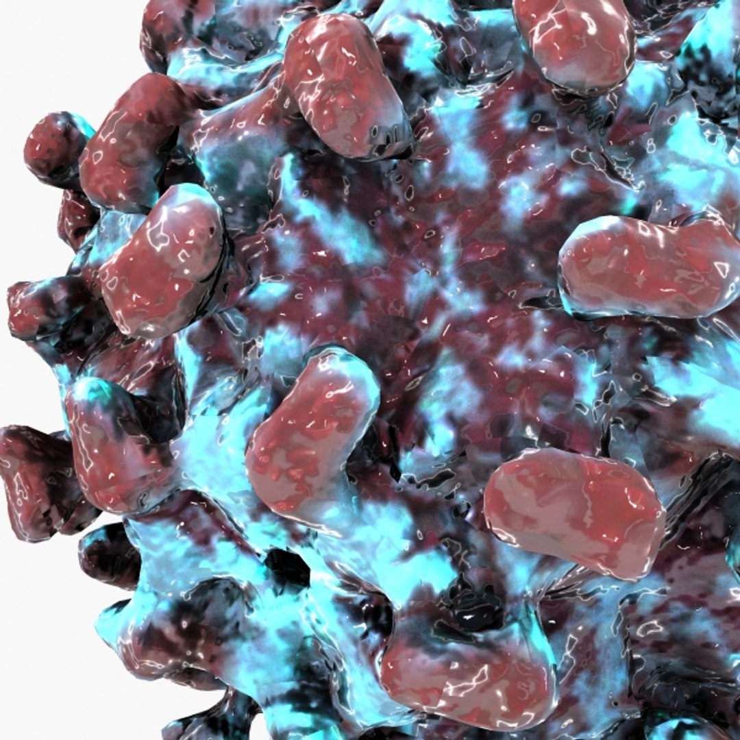 Hev Virus 3d Max