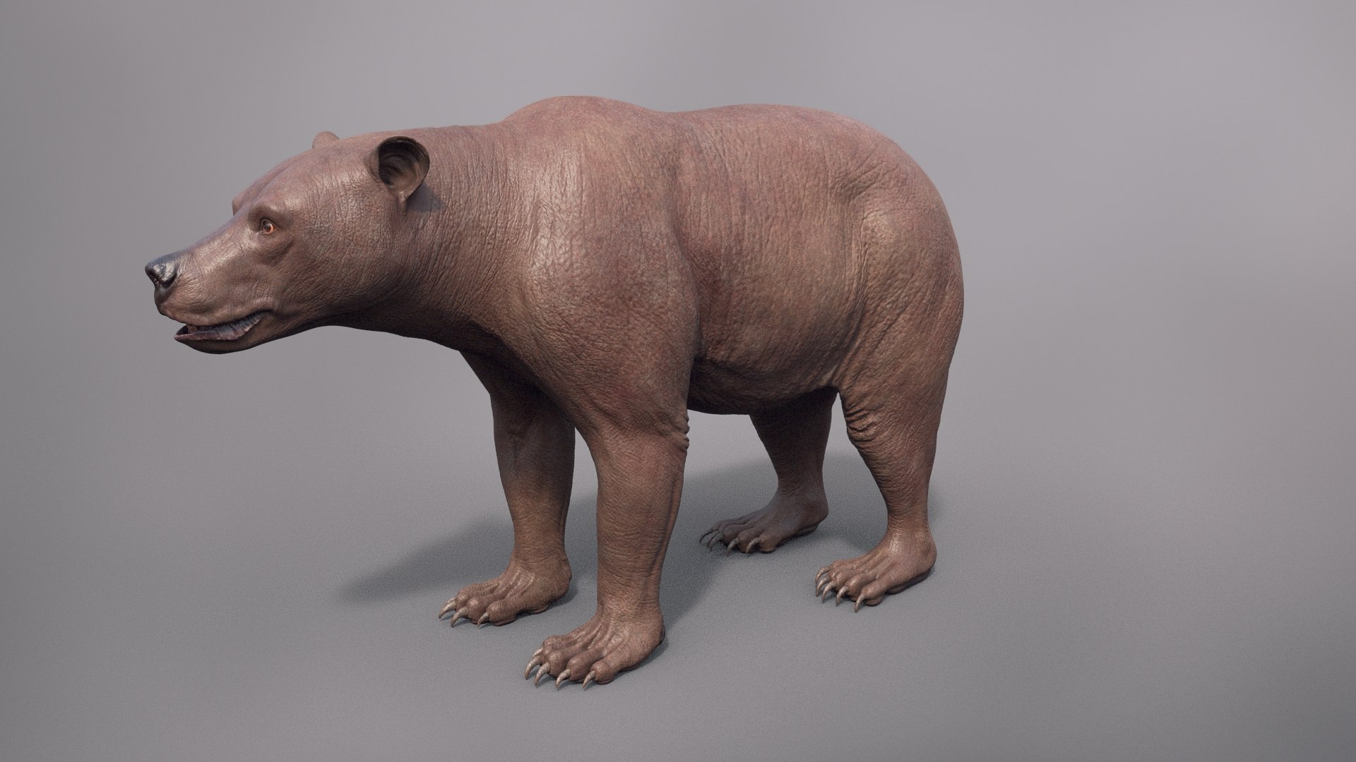 3D bear animal beast - TurboSquid 1521548
