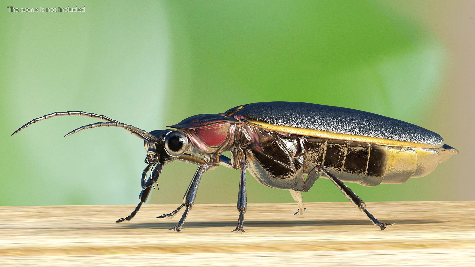 Eastern Firefly Rigged 3D Model - TurboSquid 2178947