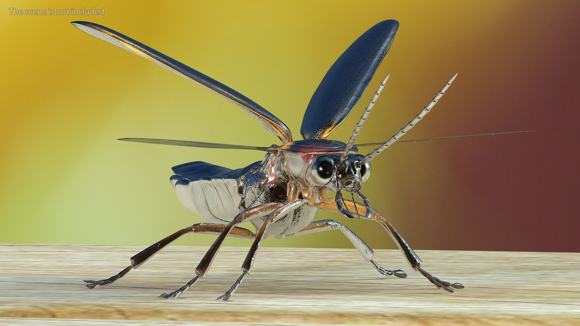 Eastern Firefly Rigged 3D Model - TurboSquid 2178947