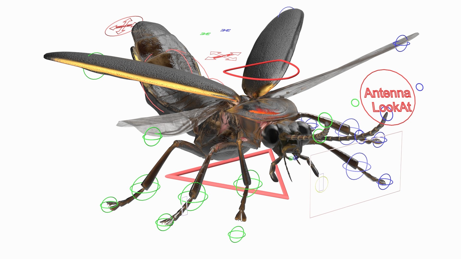 Eastern Firefly Rigged 3D Model - TurboSquid 2178947
