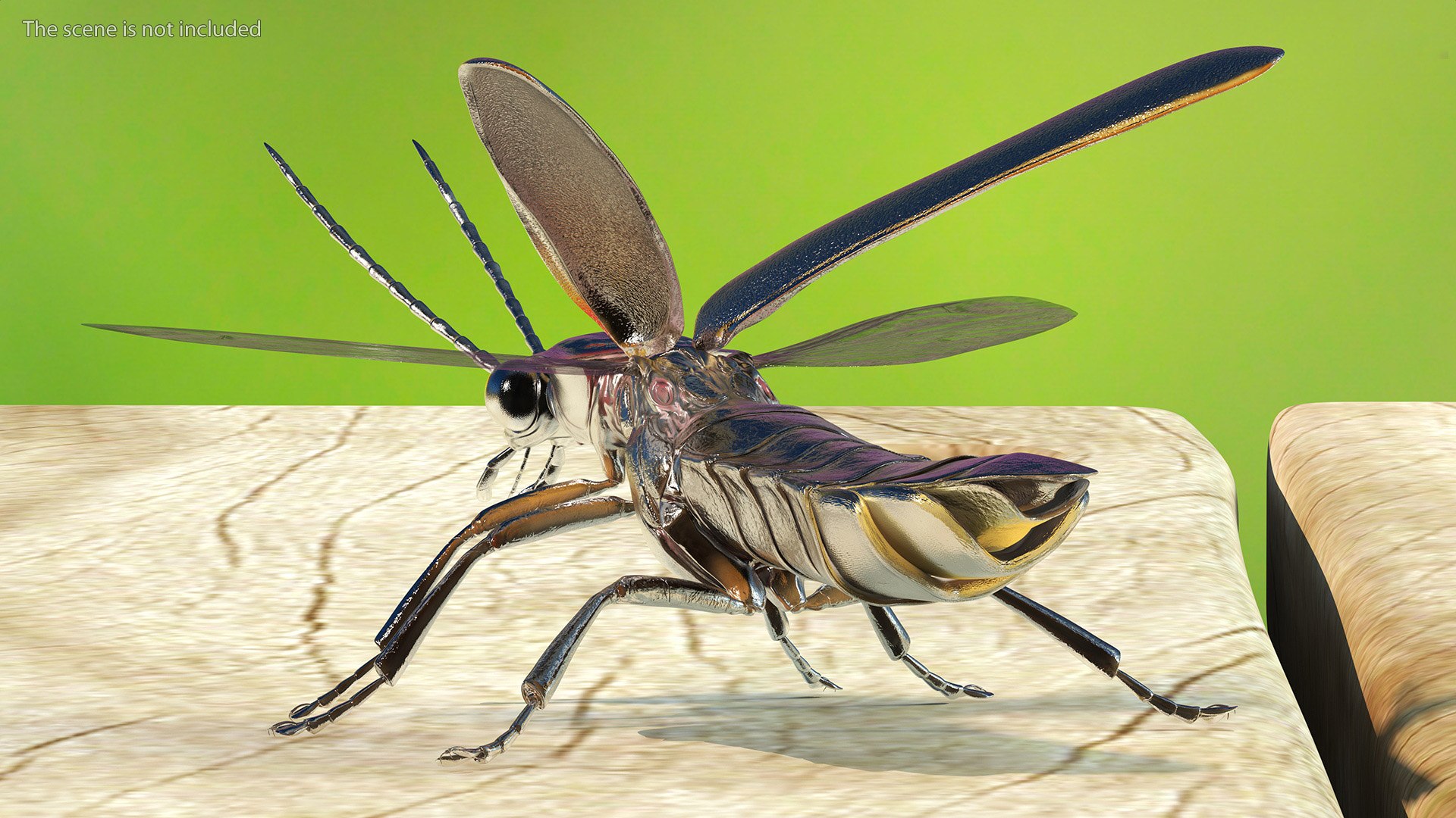 Eastern Firefly Rigged 3D Model - TurboSquid 2178947