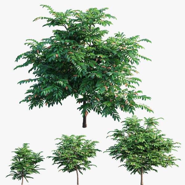 Rhino Tree Models | TurboSquid