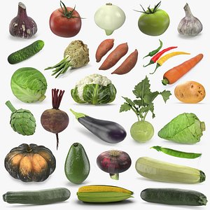 Download Free & Premium White Onion 3D Models | TurboSquid