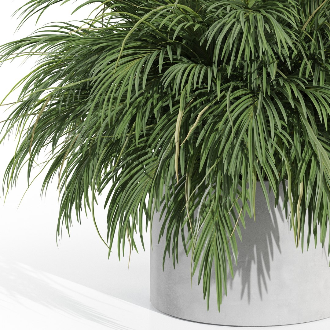 Plants collection 997 3D model - TurboSquid 2127836