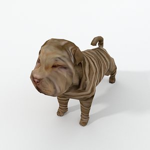 Shar Pei 3D Models for Download | TurboSquid