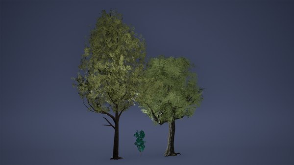 3D Tree model - TurboSquid 1731237