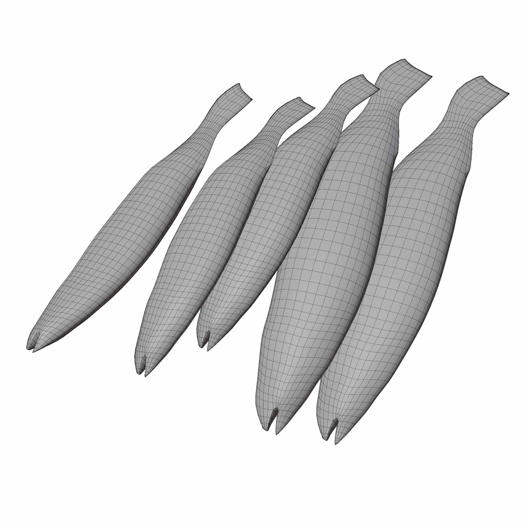 Semga Fish 3D Model - TurboSquid 2477717